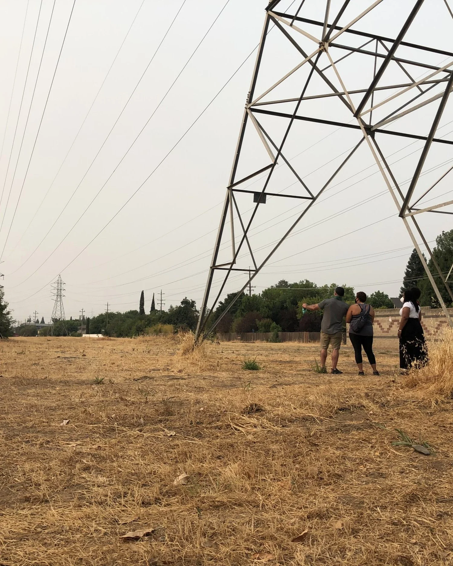 Oki Park Project — MIRIDAE