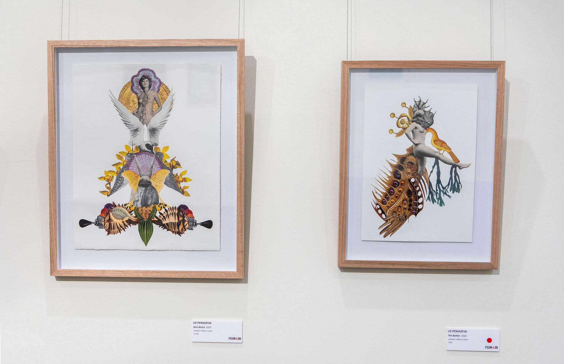 Exhibitions — Sydney Collage Society