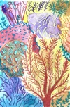 Coral Reef Week! — The Art Project