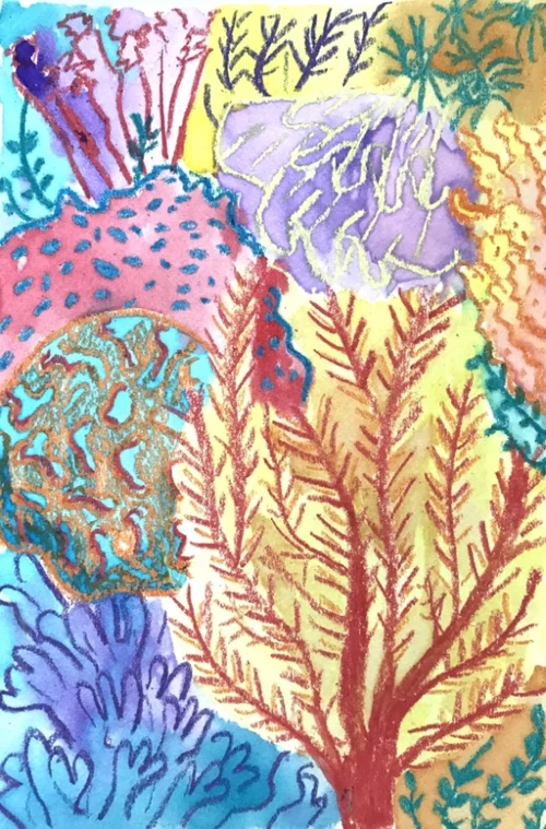 Coral Reef Week! — The Art Project