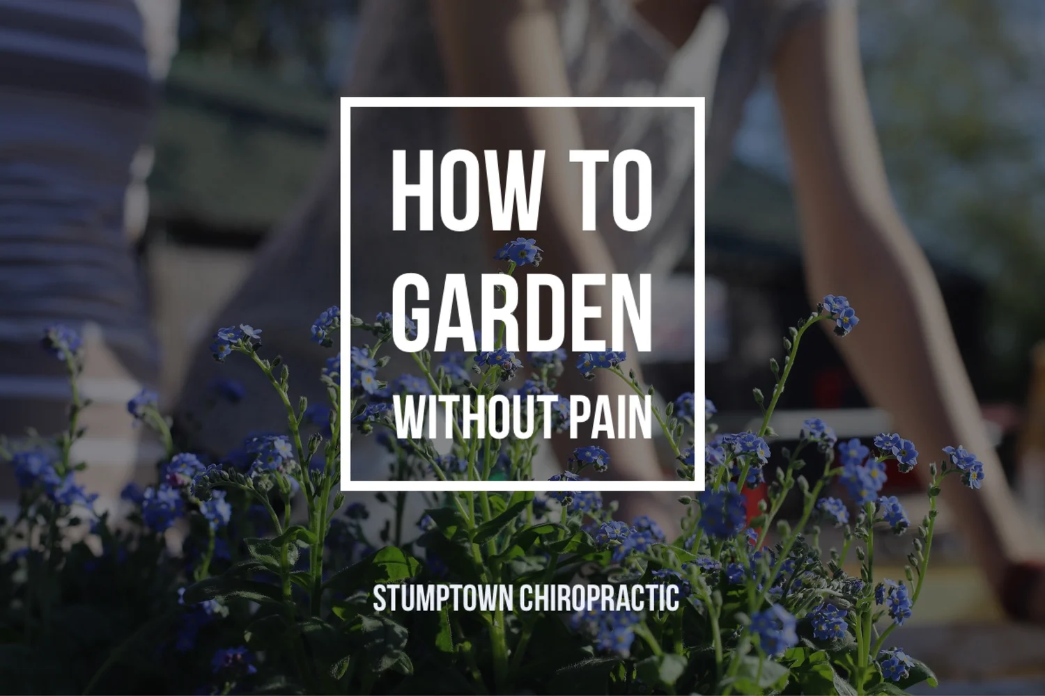 Stumptown ChiropracticBlogGardening without back pain