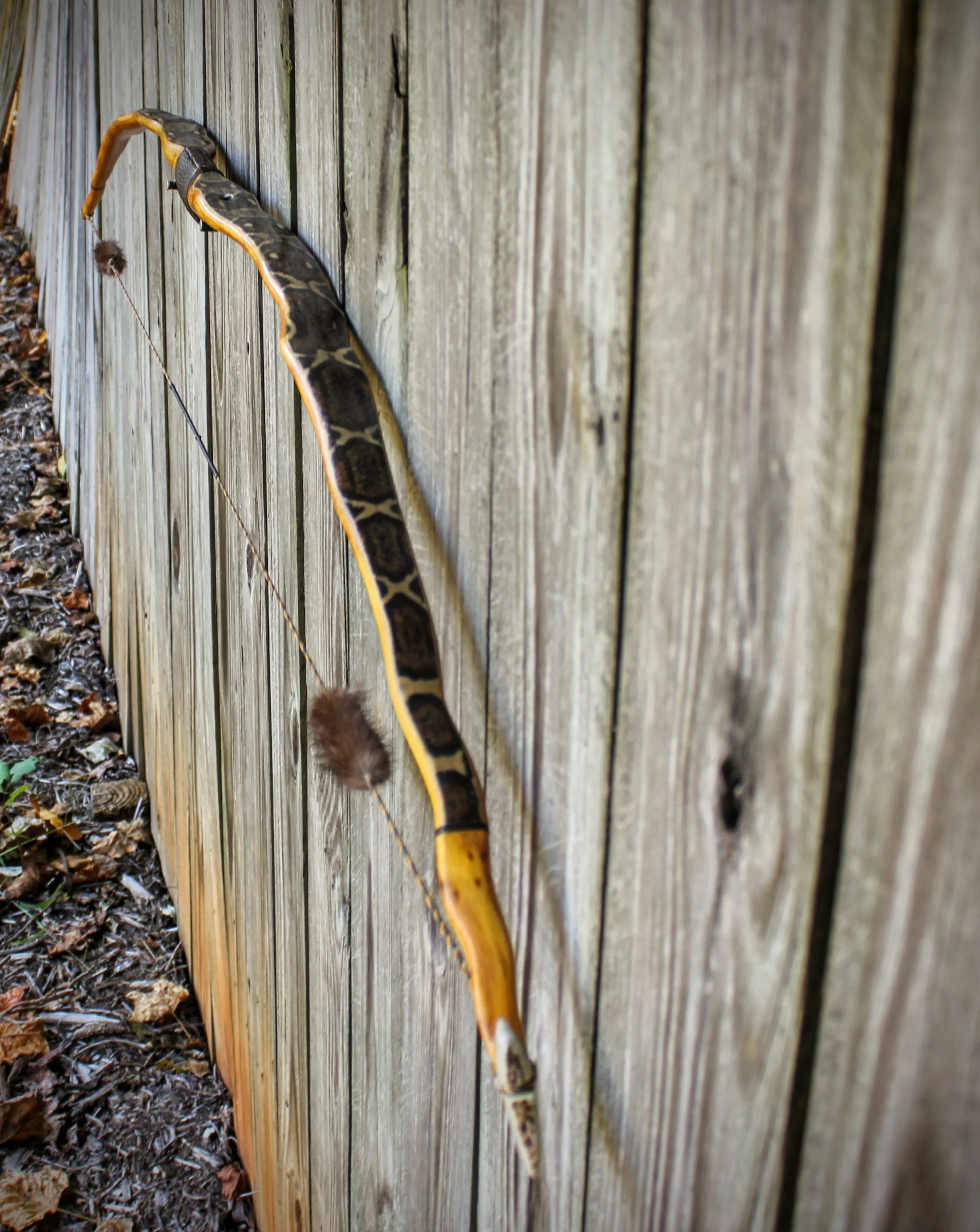 Bows for Sale — Swiftwood Bows