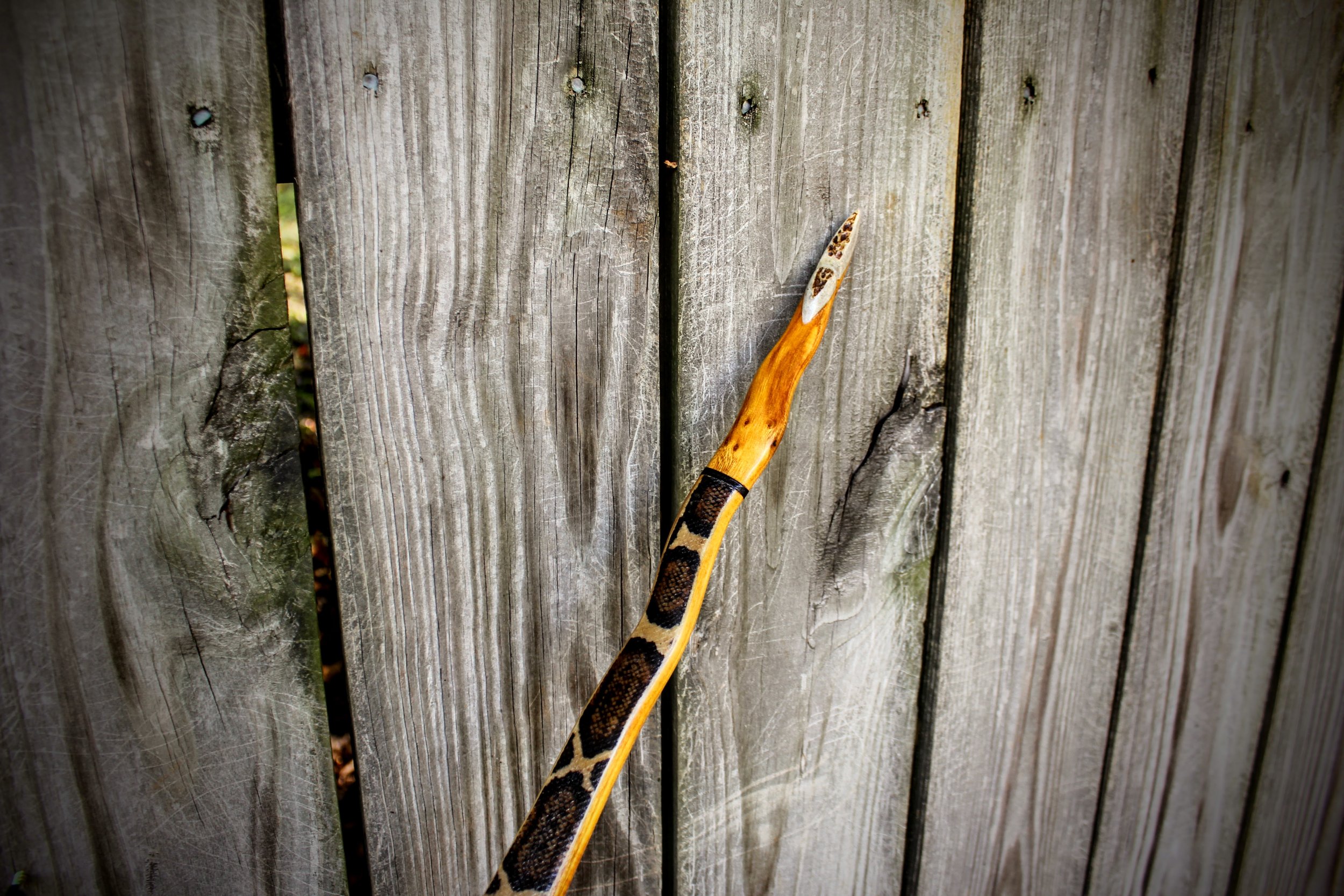 Bows for Sale — Swiftwood Bows