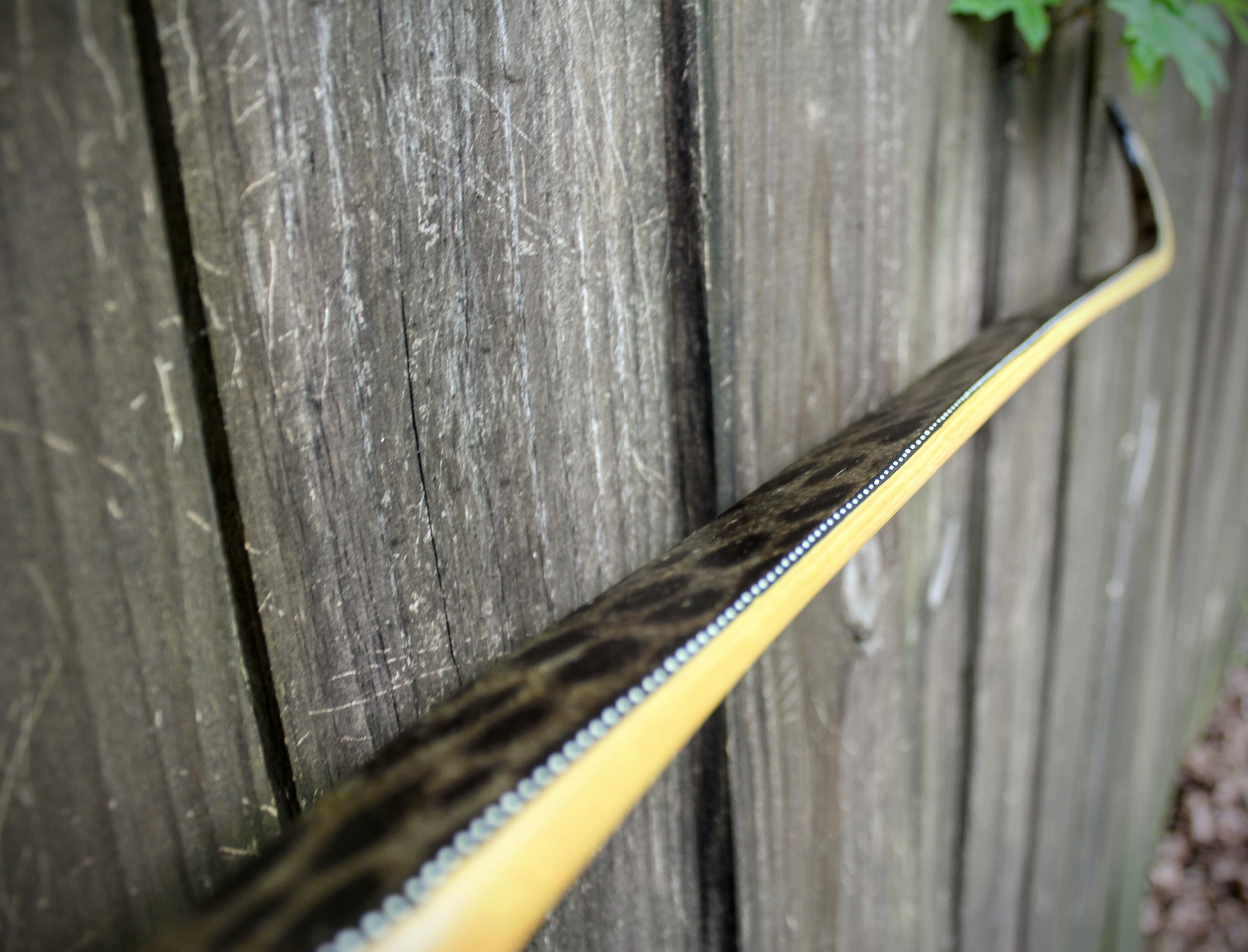 Bows for Sale — Swiftwood Bows