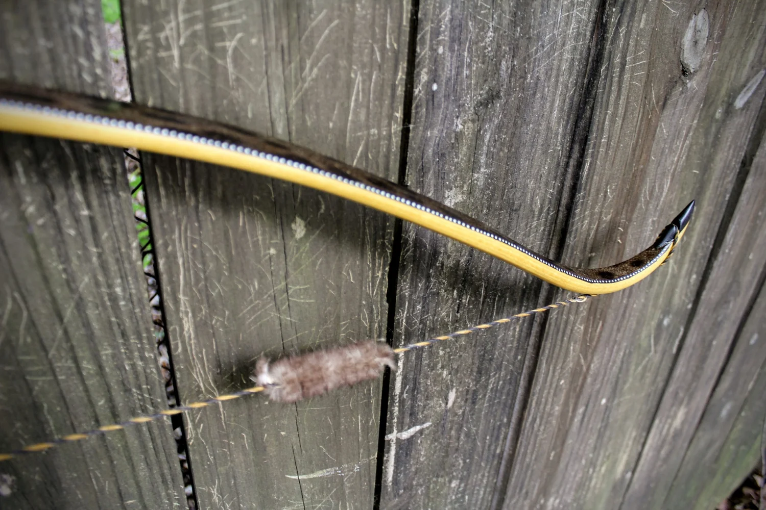 Bows for Sale — Swiftwood Bows