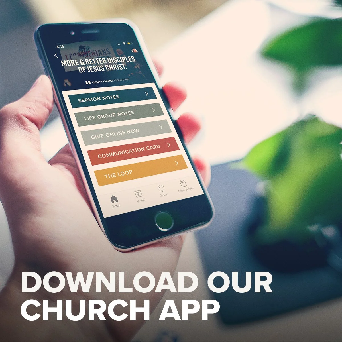 THE LOOP — Christ's Church FW