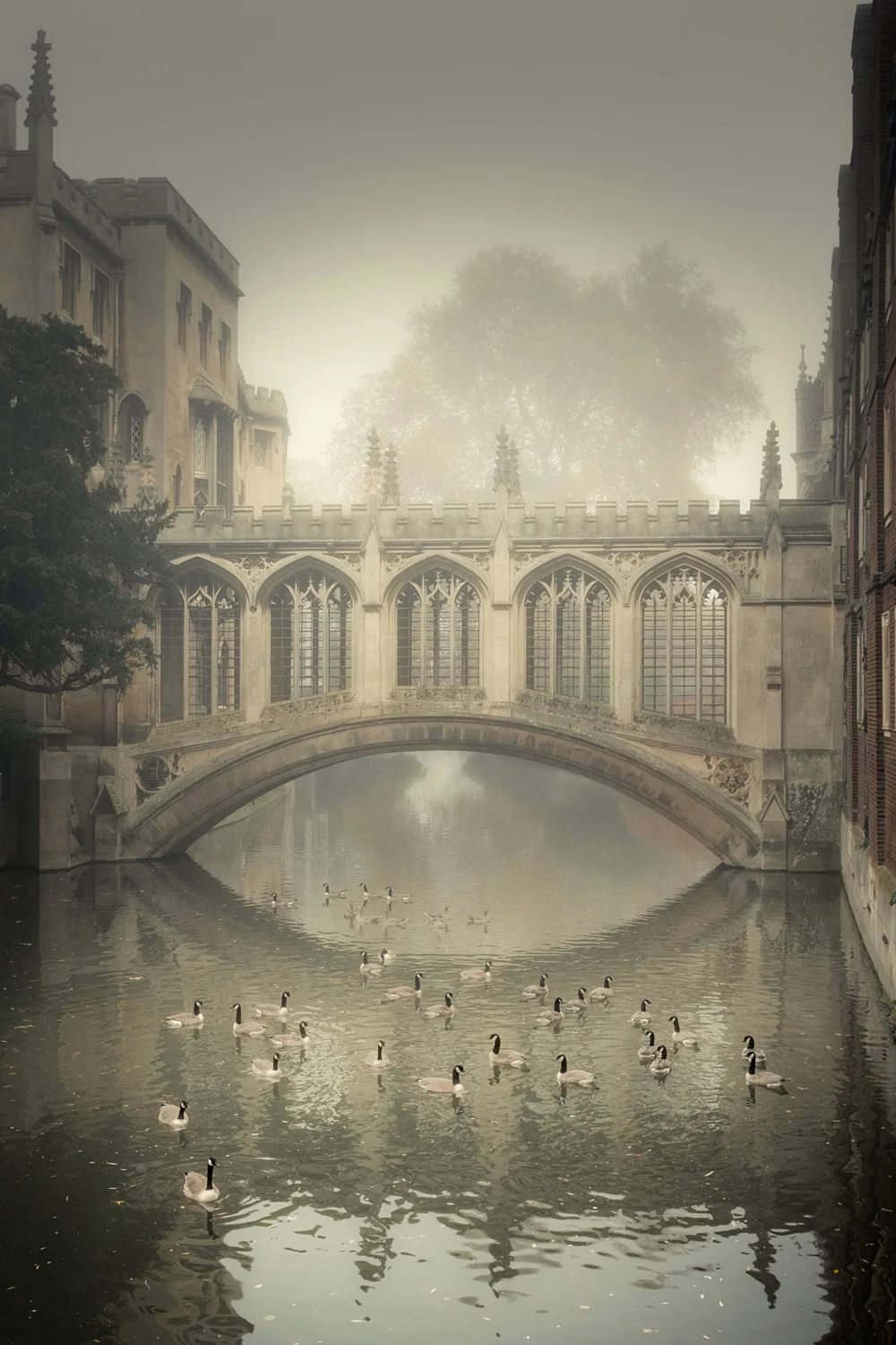 Photography — Blog — cambridge contemporary art