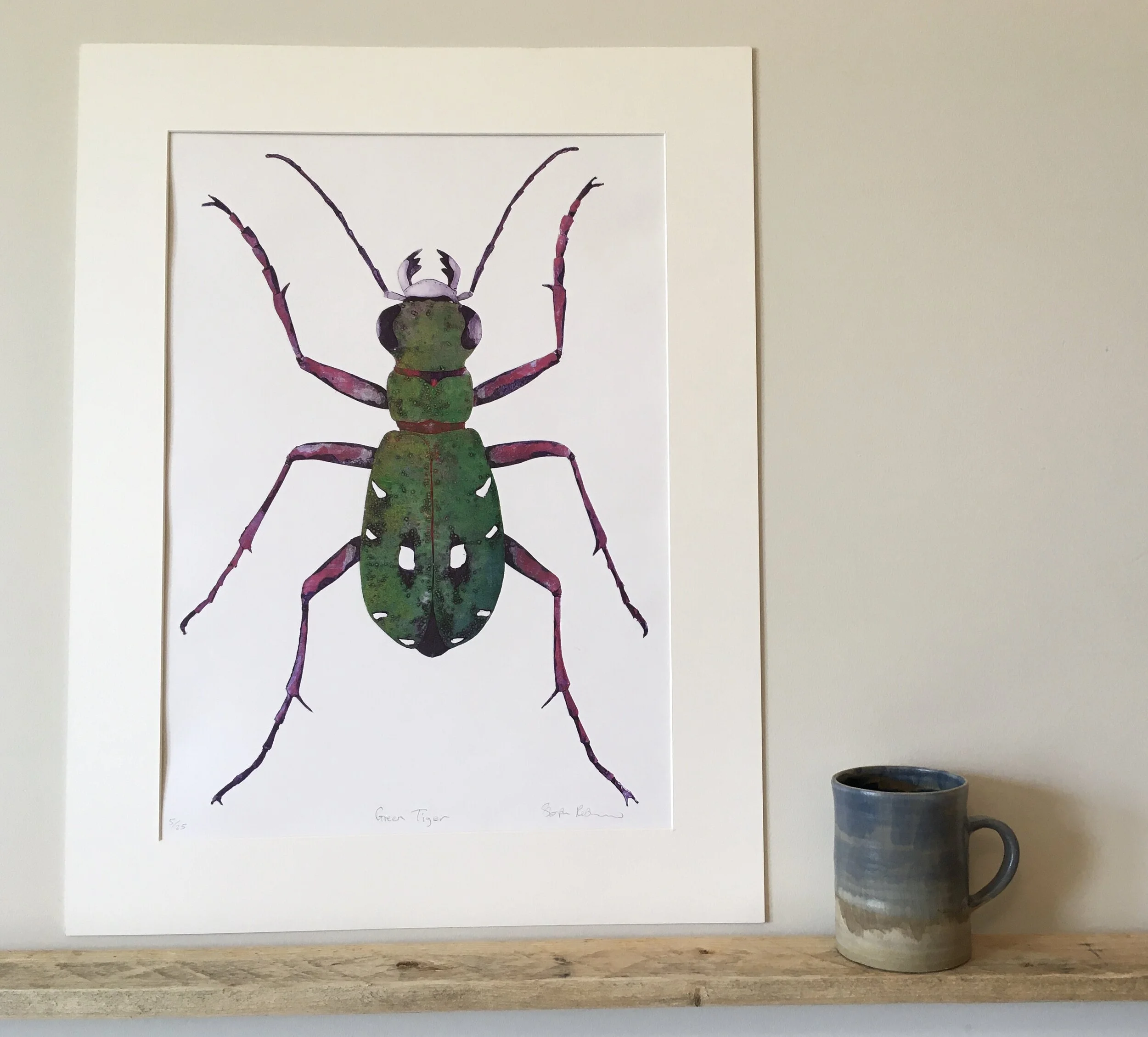Green Tiger ed1 by Steph Renshaw — cambridge contemporary art