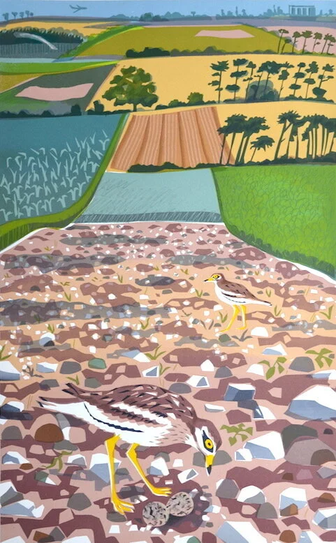 Carry Akroyd Prints — cambridge contemporary art