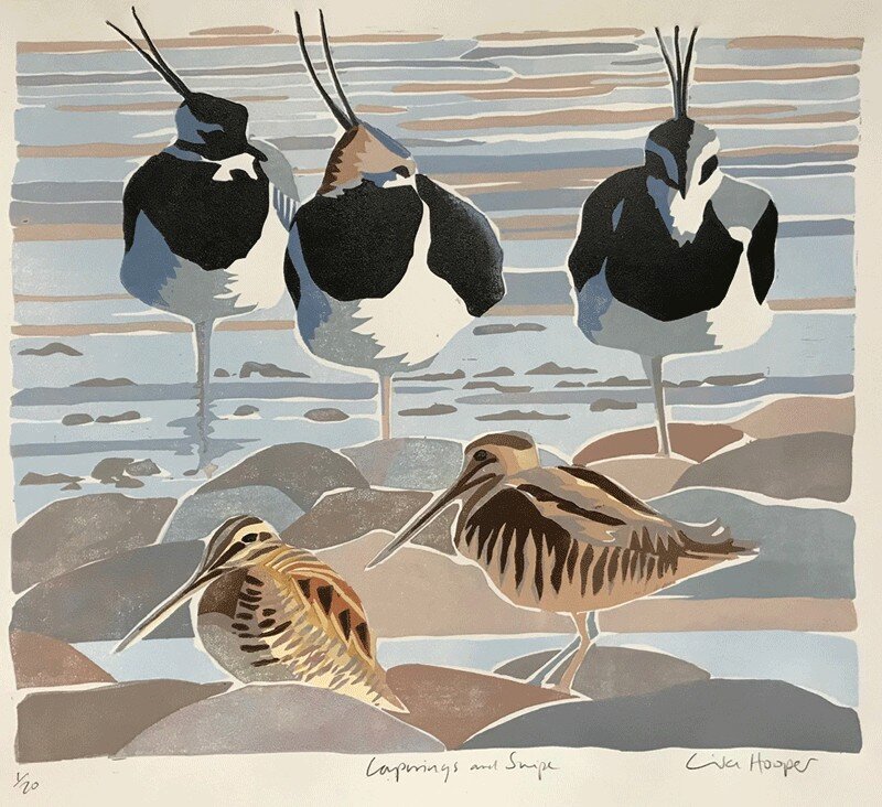 Lisa Hooper — cambridge contemporary art