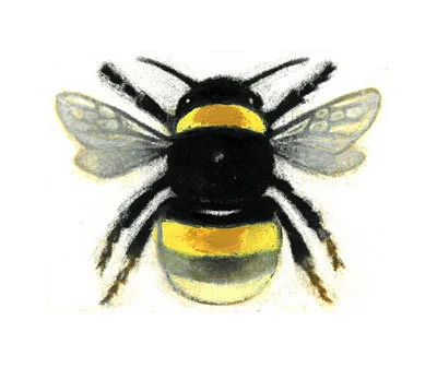 Louise Bird — cambridge contemporary art