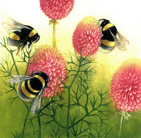 Louise Bird — cambridge contemporary art