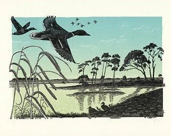 Flying Home ed7 by Julie Orpen — cambridge contemporary art