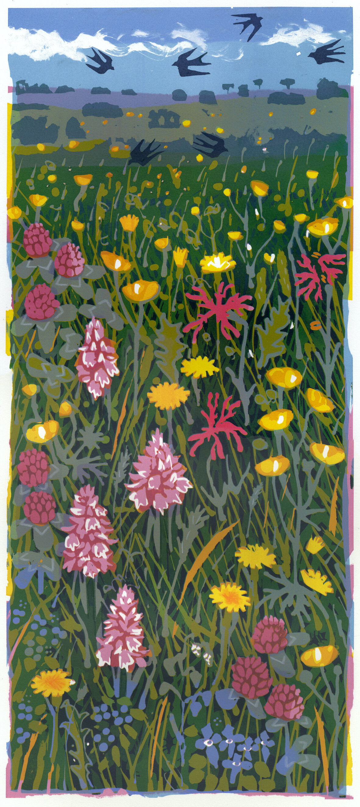 Carry Akroyd Prints — cambridge contemporary art