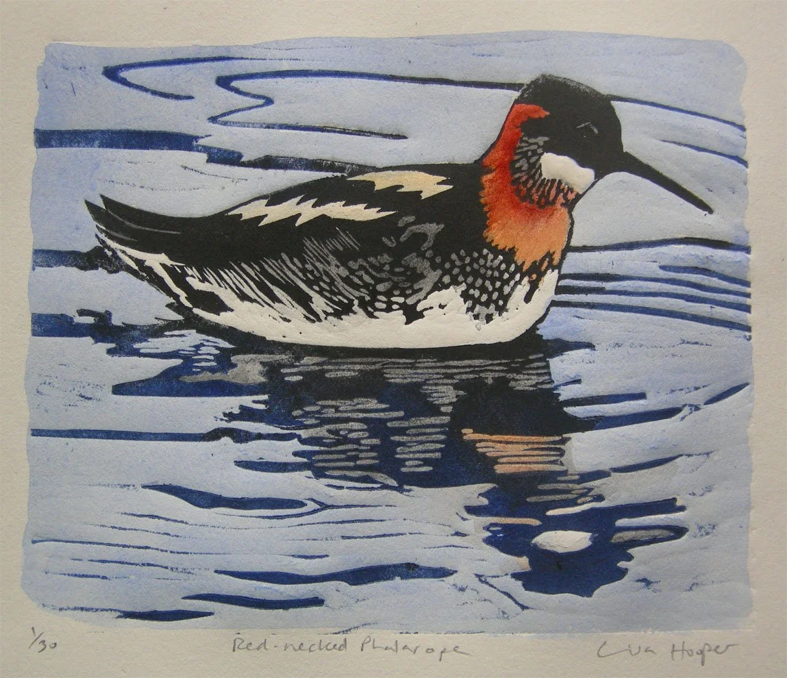 Stromness by Lisa Hooper — cambridge contemporary art