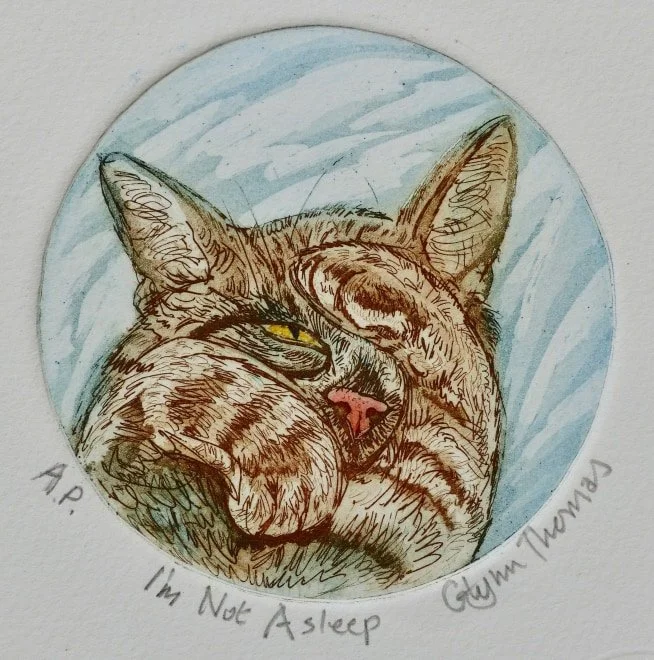 Glynn Thomas — cambridge contemporary art