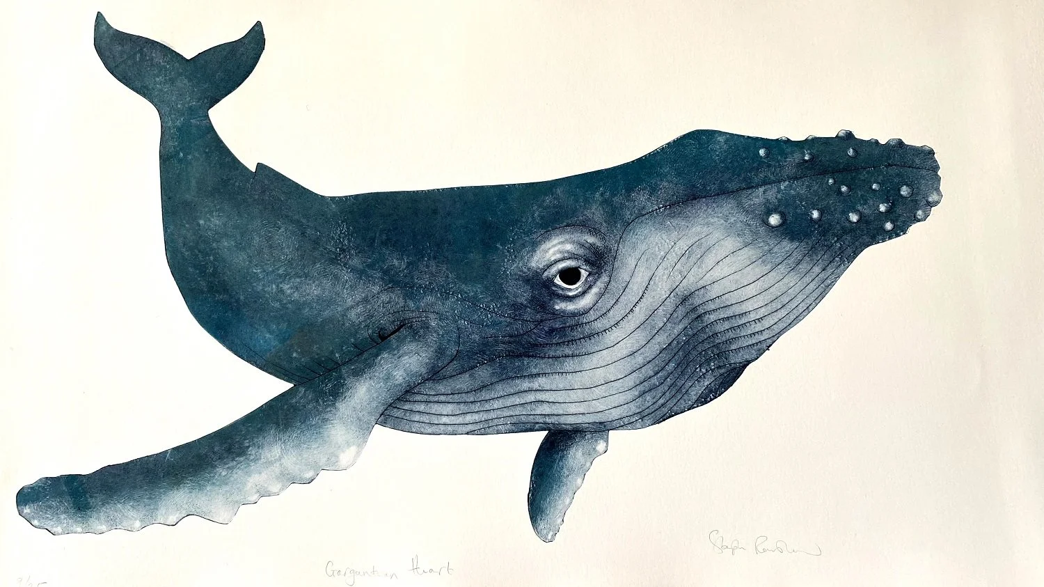 Steph Renshaw Products — cambridge contemporary art