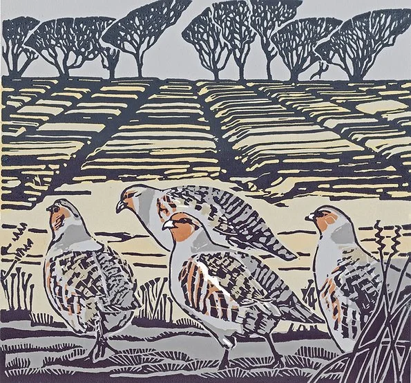 Max Angus — cambridge contemporary art