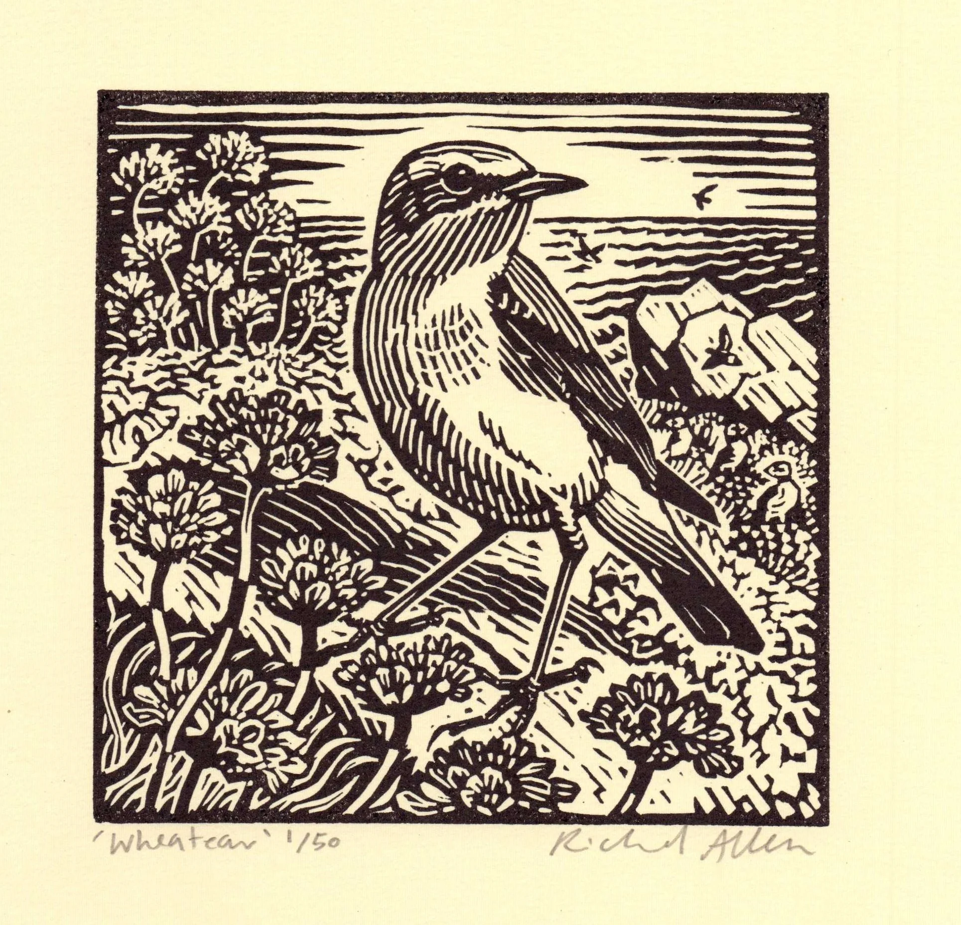 Richard Allen — cambridge contemporary art