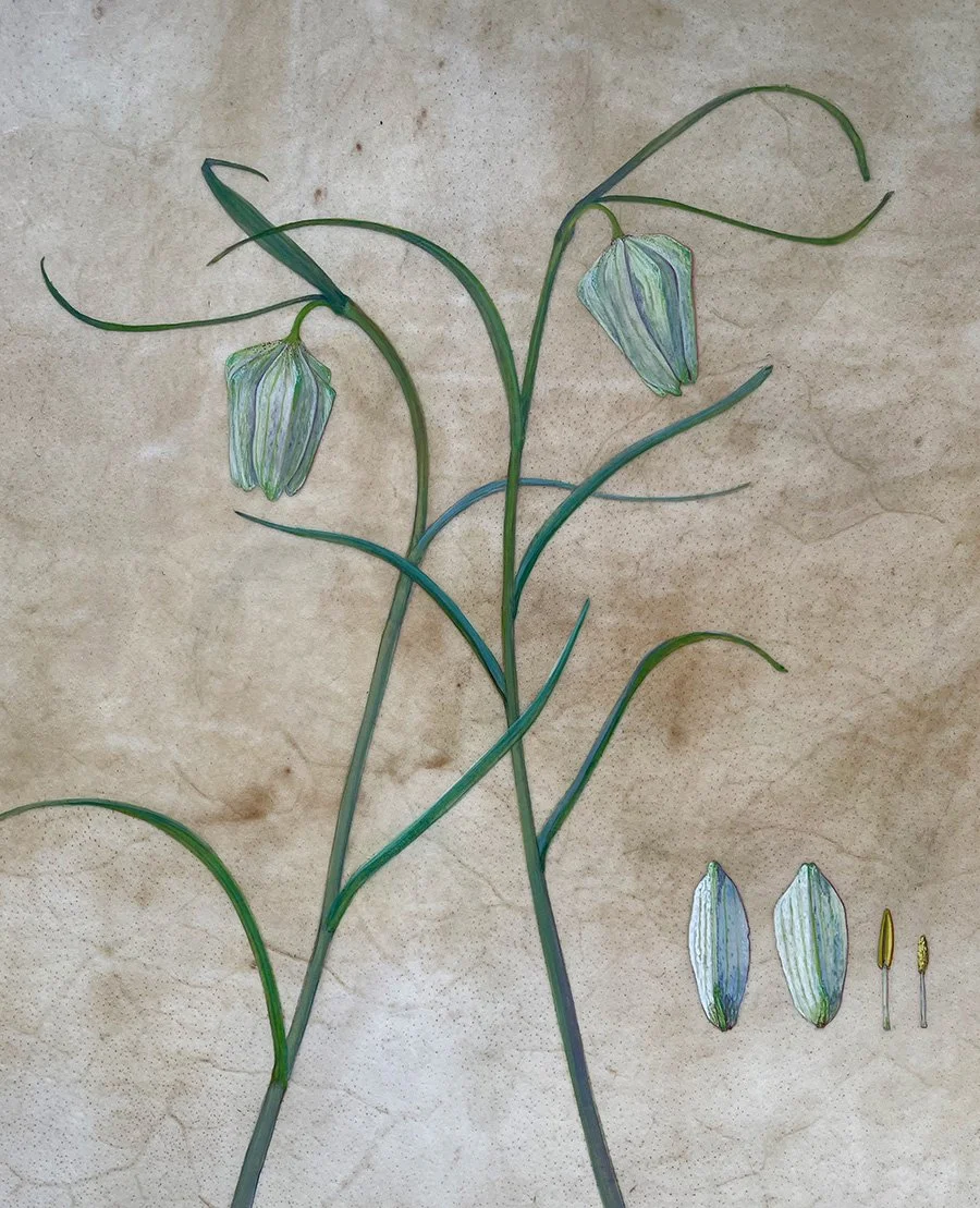 Gael Sellwood — cambridge contemporary art