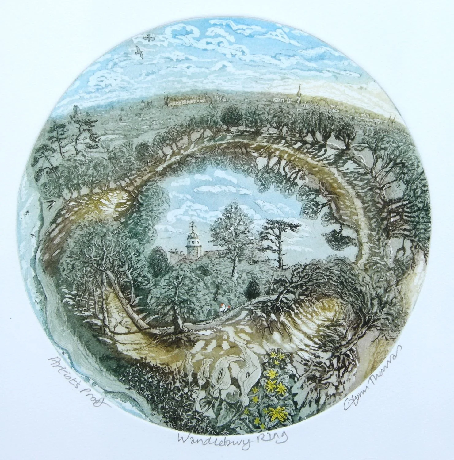 Glynn Thomas — cambridge contemporary art