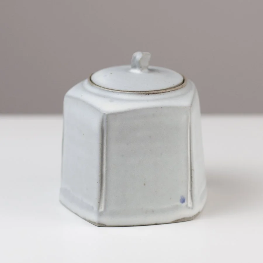 Carina Ciscato — cambridge contemporary art