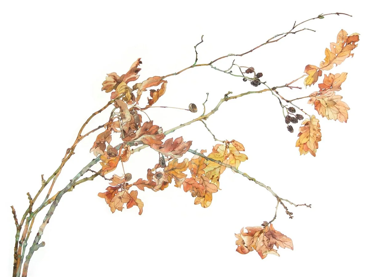 Painting Shop — cambridge contemporary art