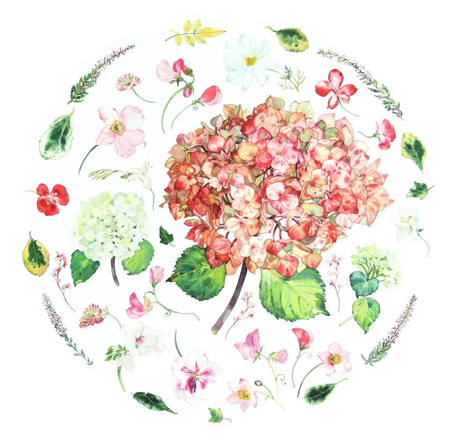 Painting Shop — cambridge contemporary art