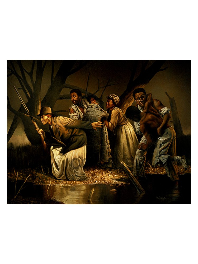 Paul Collins is an award-winning visual artist renowned for his ...