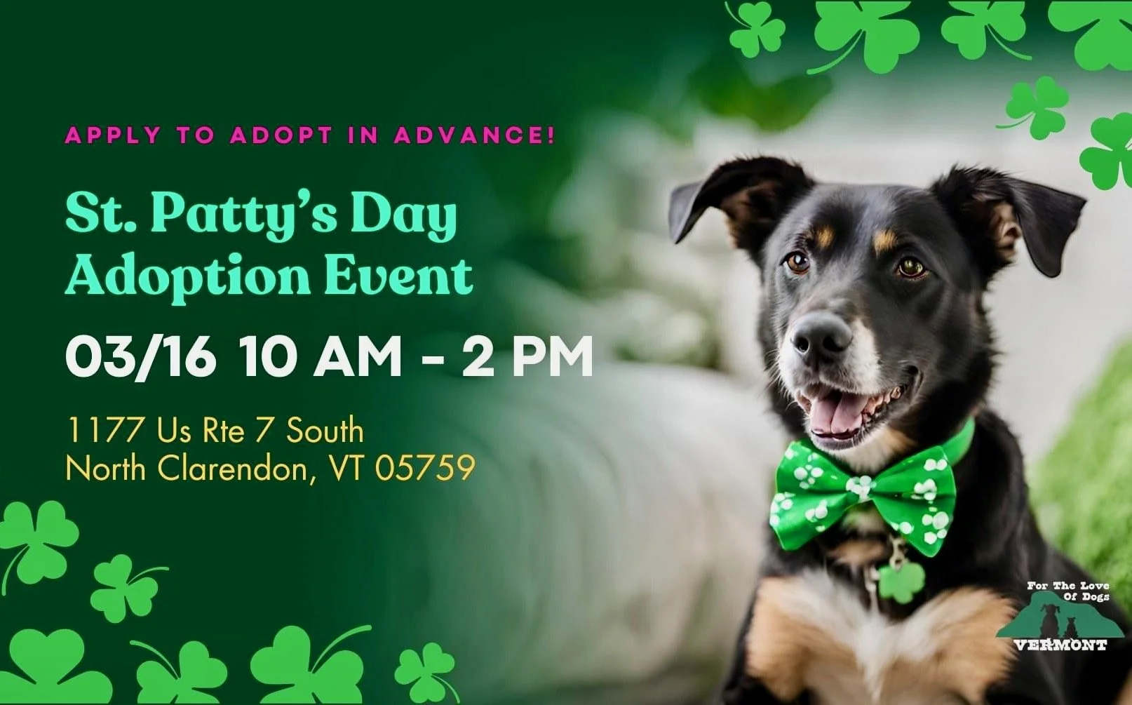 Events — For the Love of Dogs Vermont