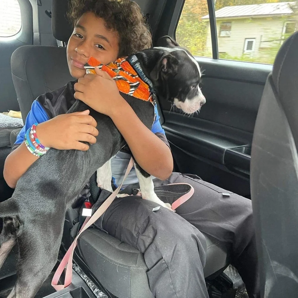 After Adoption — For the Love of Dogs Vermont