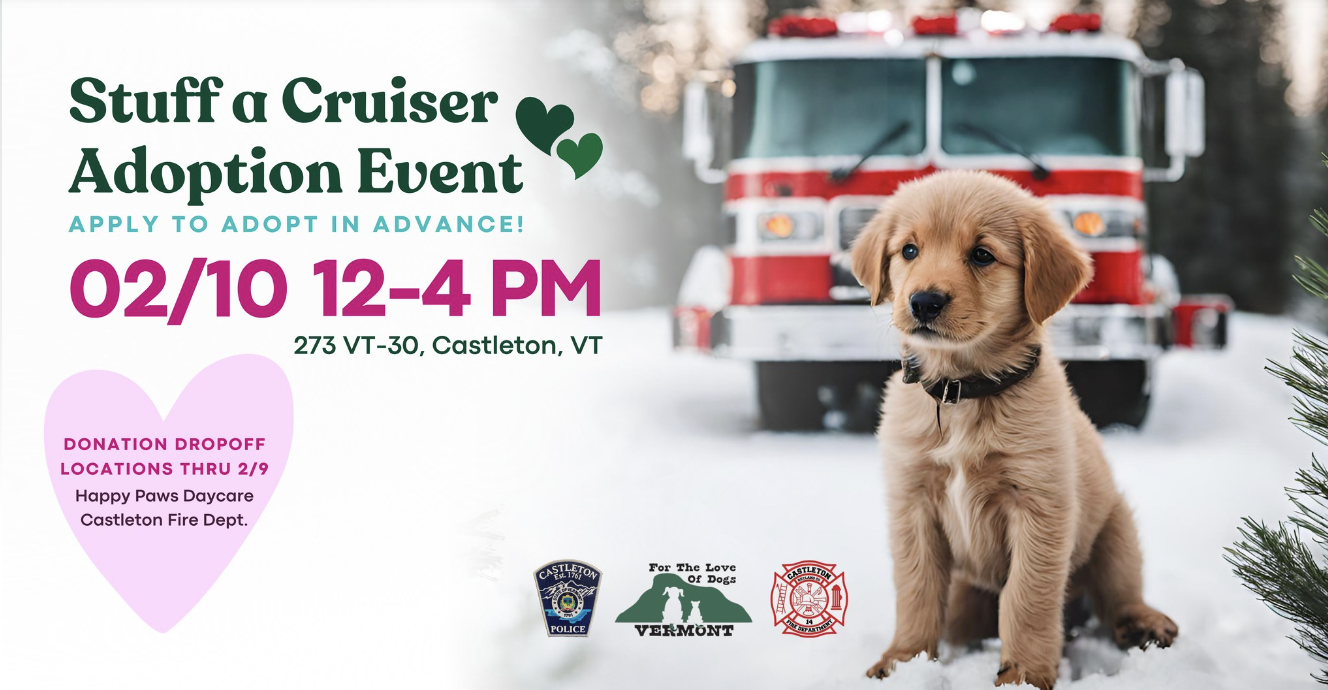 Events — For the Love of Dogs Vermont