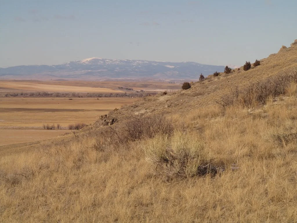 Run For Your Life, John Colter — History Nuggets