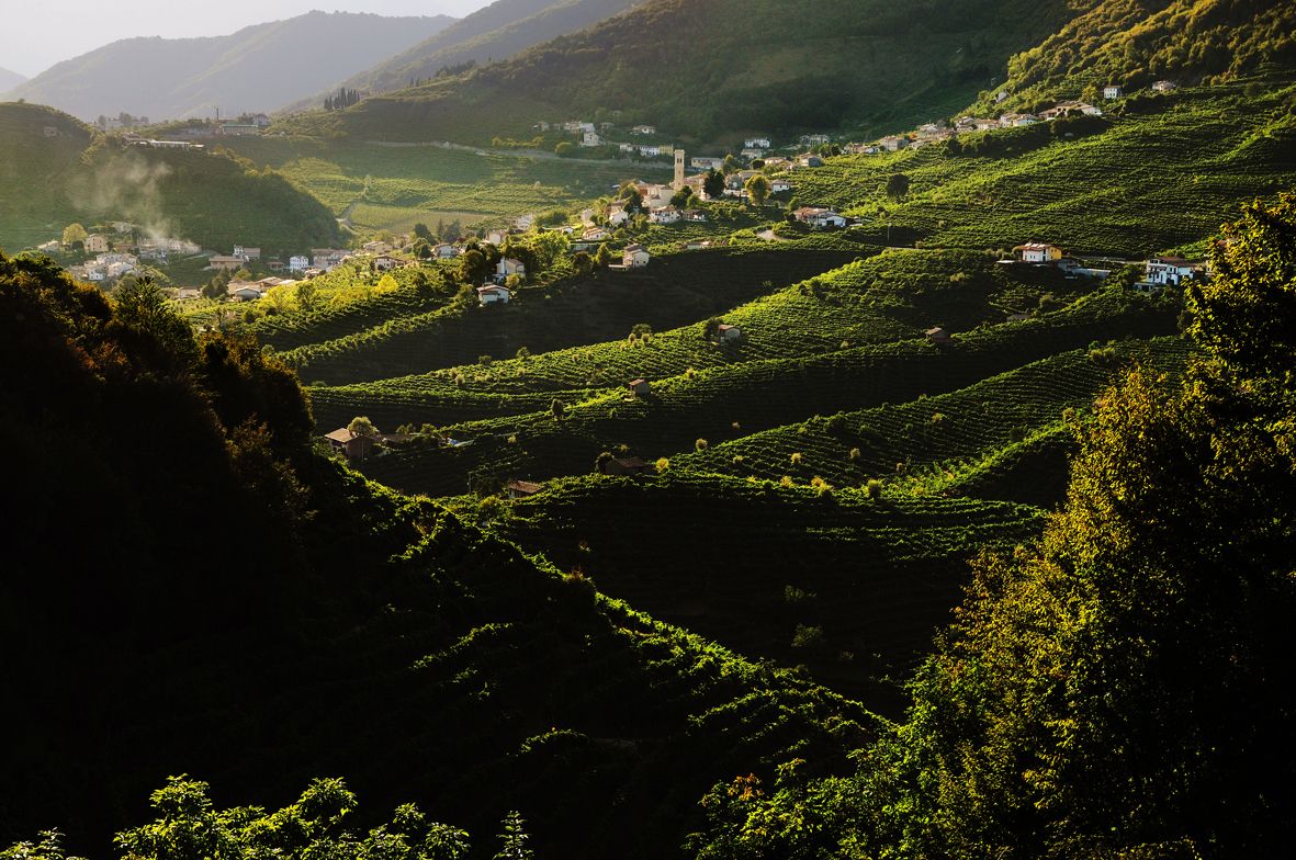 Top of the pops Proseccos from Bisol. Taste the range at Tour Italia ...