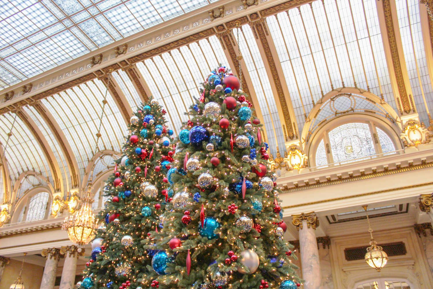 Christmas in San Francisco - Top Things to See During the Holiday Season