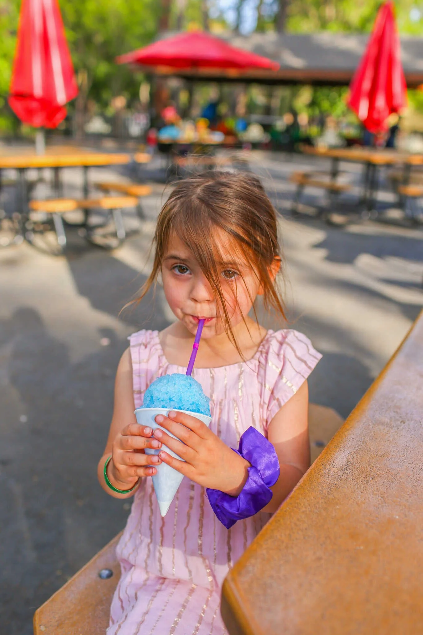 Family Guide to Funderland Amusement Park Inside William Land Park in ...