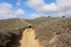 Visiting Montara Mountain: A Hidden Gem on Northern California’s Coast