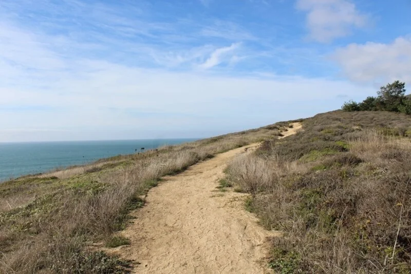 Visiting Montara Mountain: A Hidden Gem on Northern California’s Coast