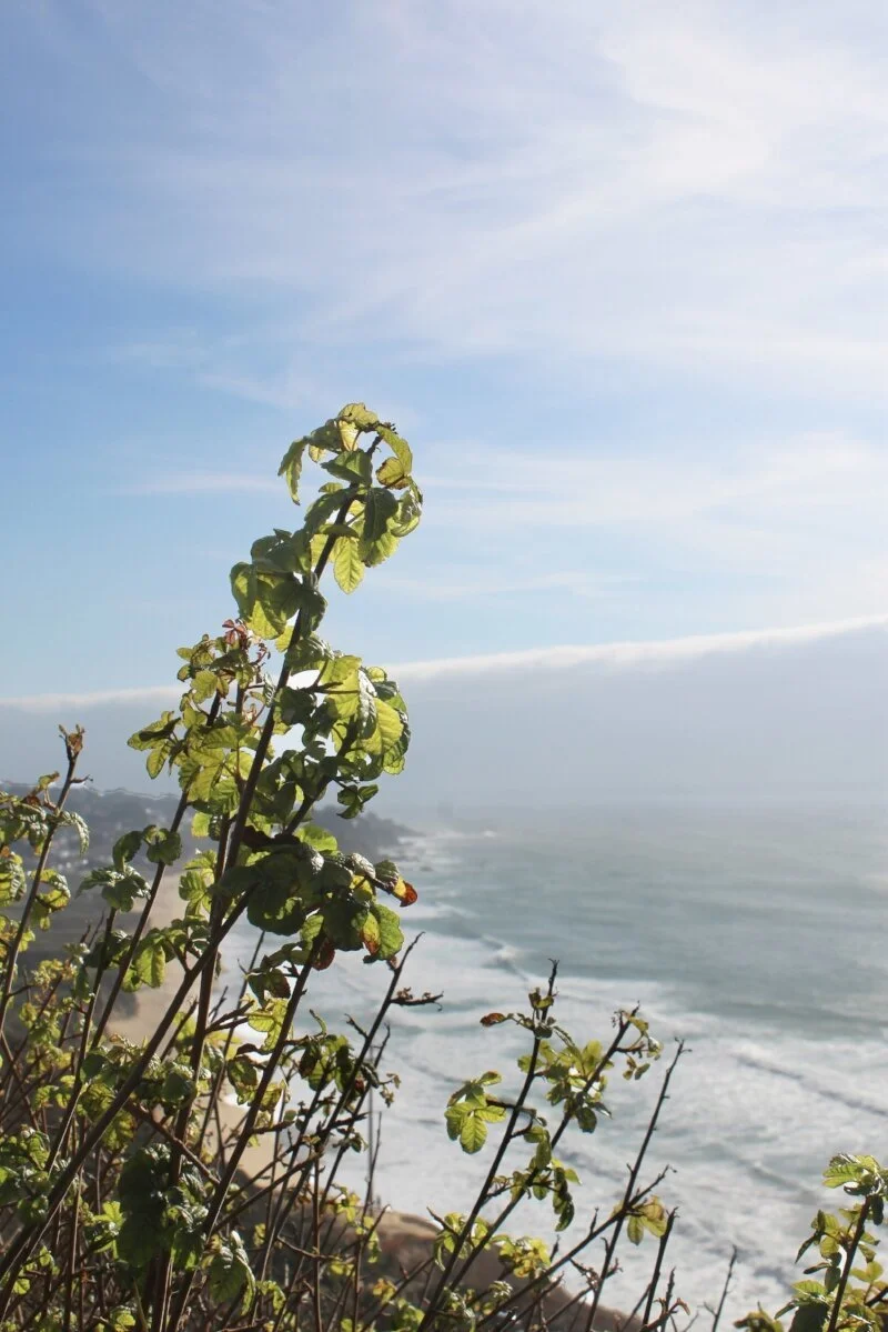 Visiting Montara Mountain: A Hidden Gem on Northern California’s Coast