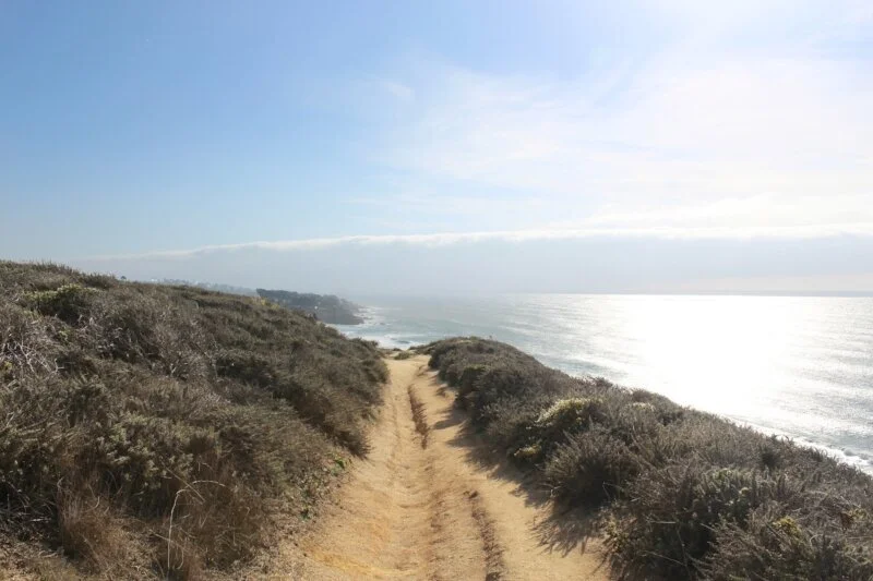 Visiting Montara Mountain: A Hidden Gem on Northern California’s Coast