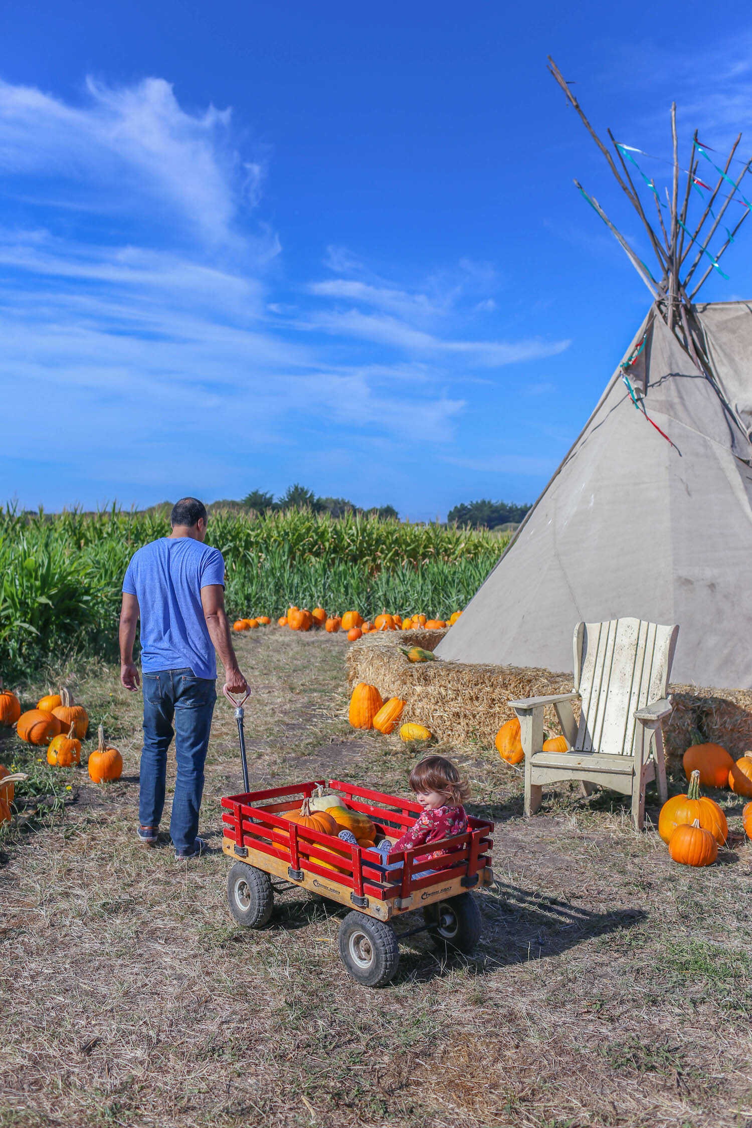 Best Pumpkin Patches and Farms for Photos in Half Moon Bay
