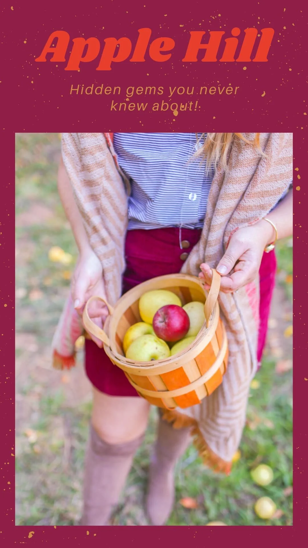 Hidden Gems Inside Apple Hill - Just Outside Sacramento!