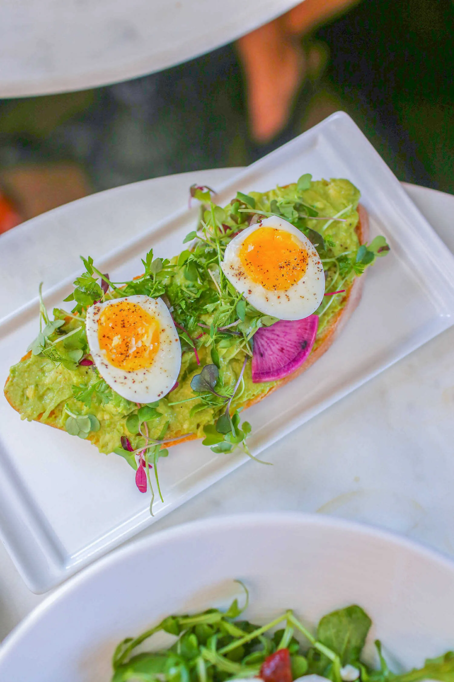 The Summer Guide to Auburn, California