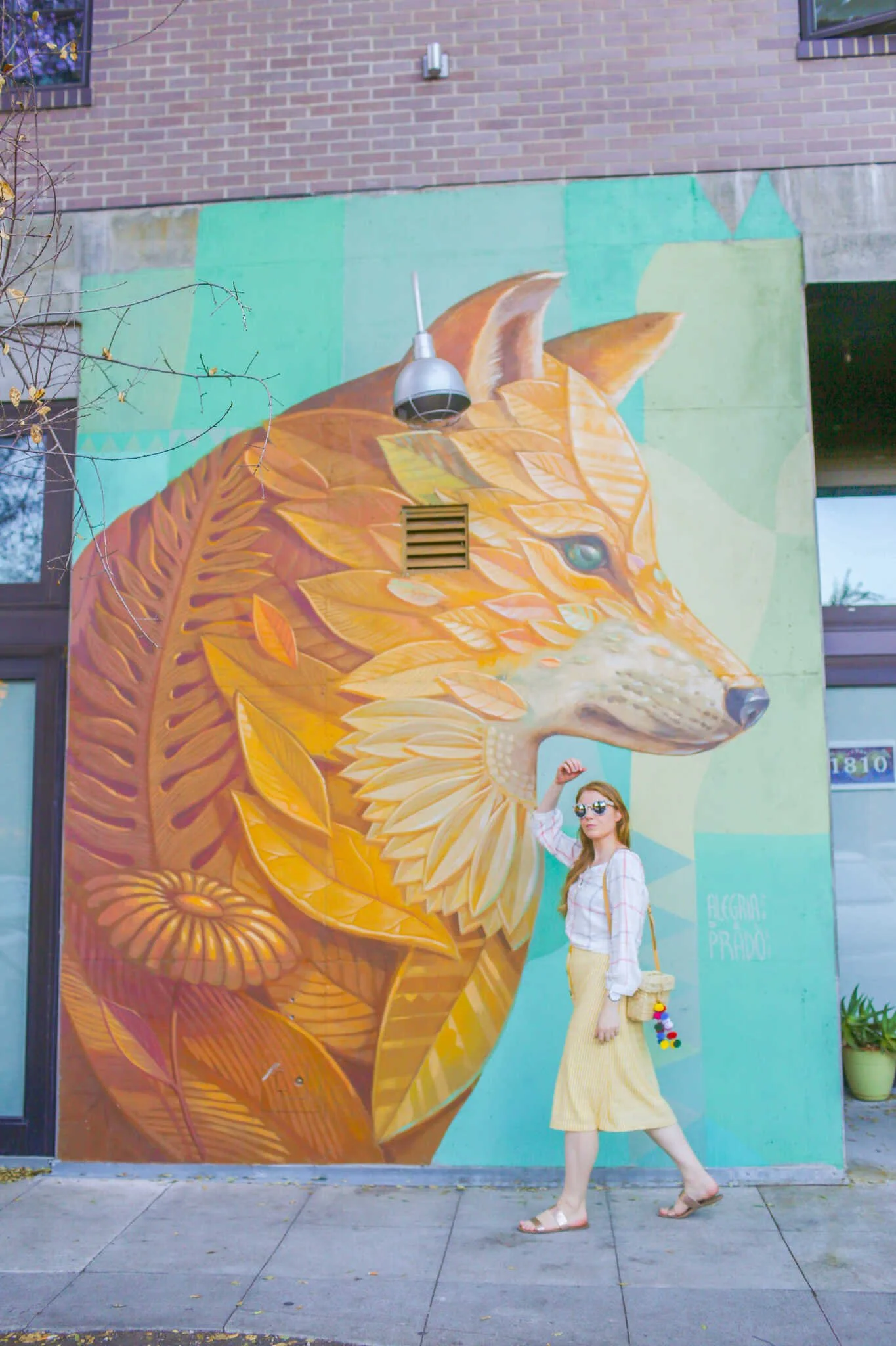 Guide to the Most Colorful Murals in Sacramento, California