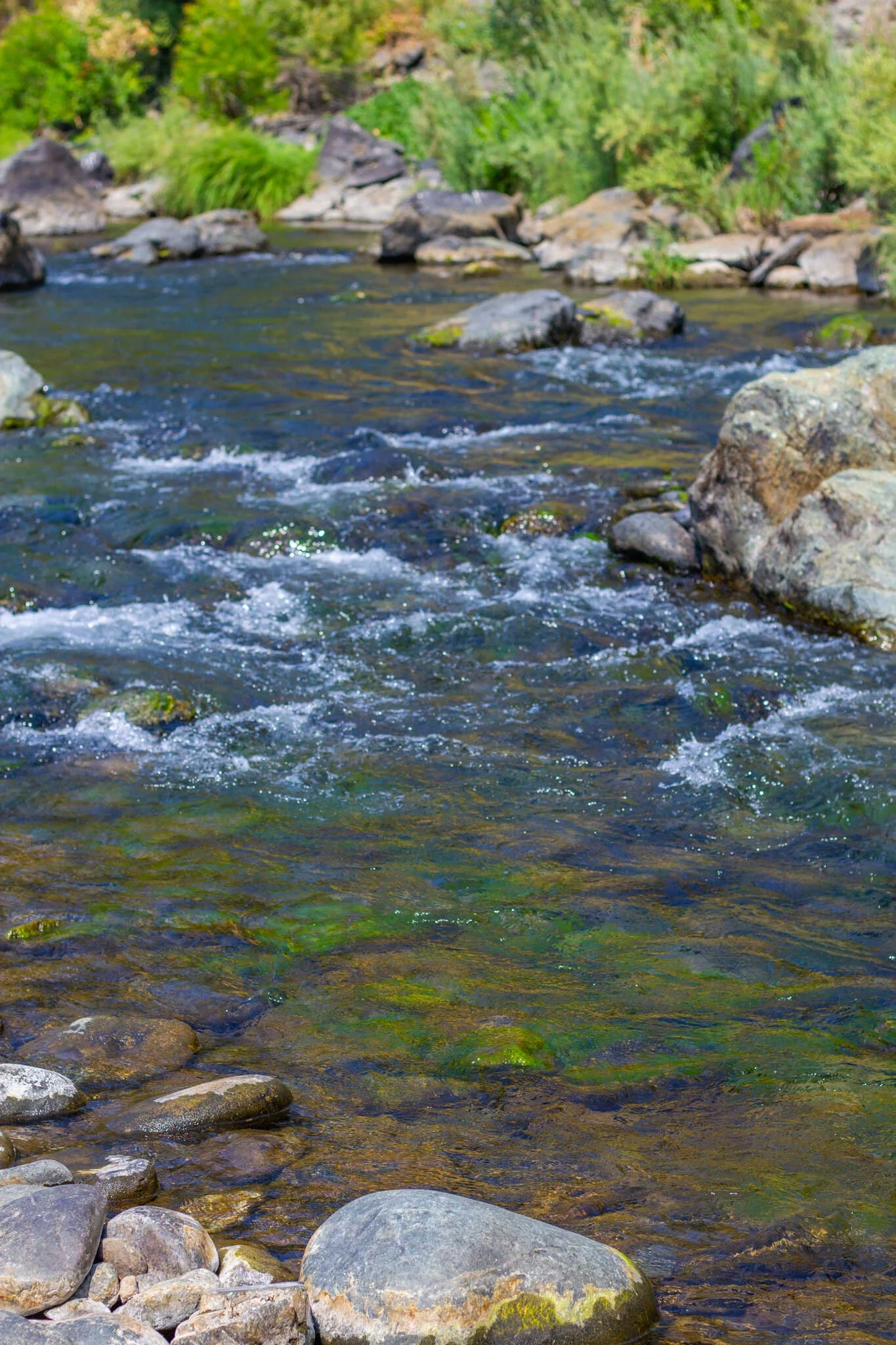 Top 35 Hidden Gems in Placer County - Top Things to Eat, U-Pick Farms ...