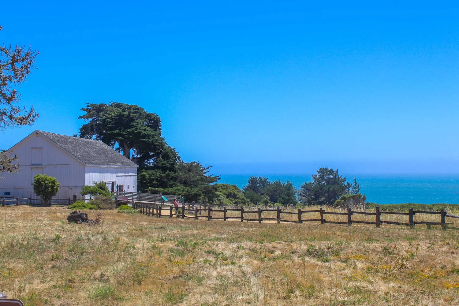 A Weekend Guide to Half Moon Bay – Top Things to See and Do on the Coast
