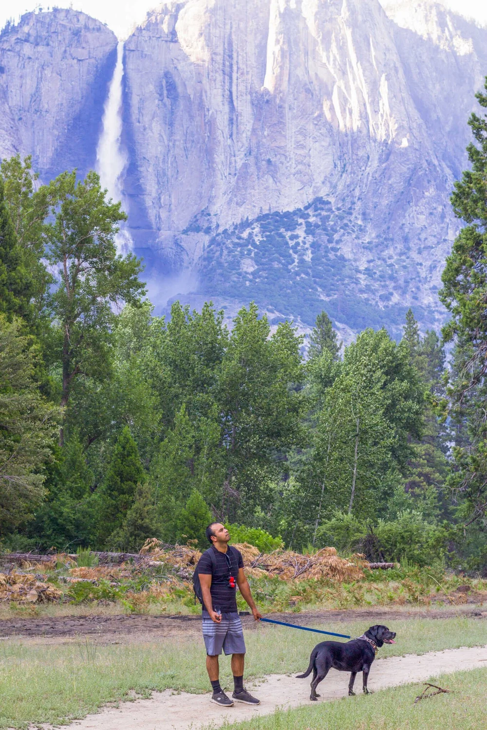 Are Dogs Allowed In Yosemite Trails