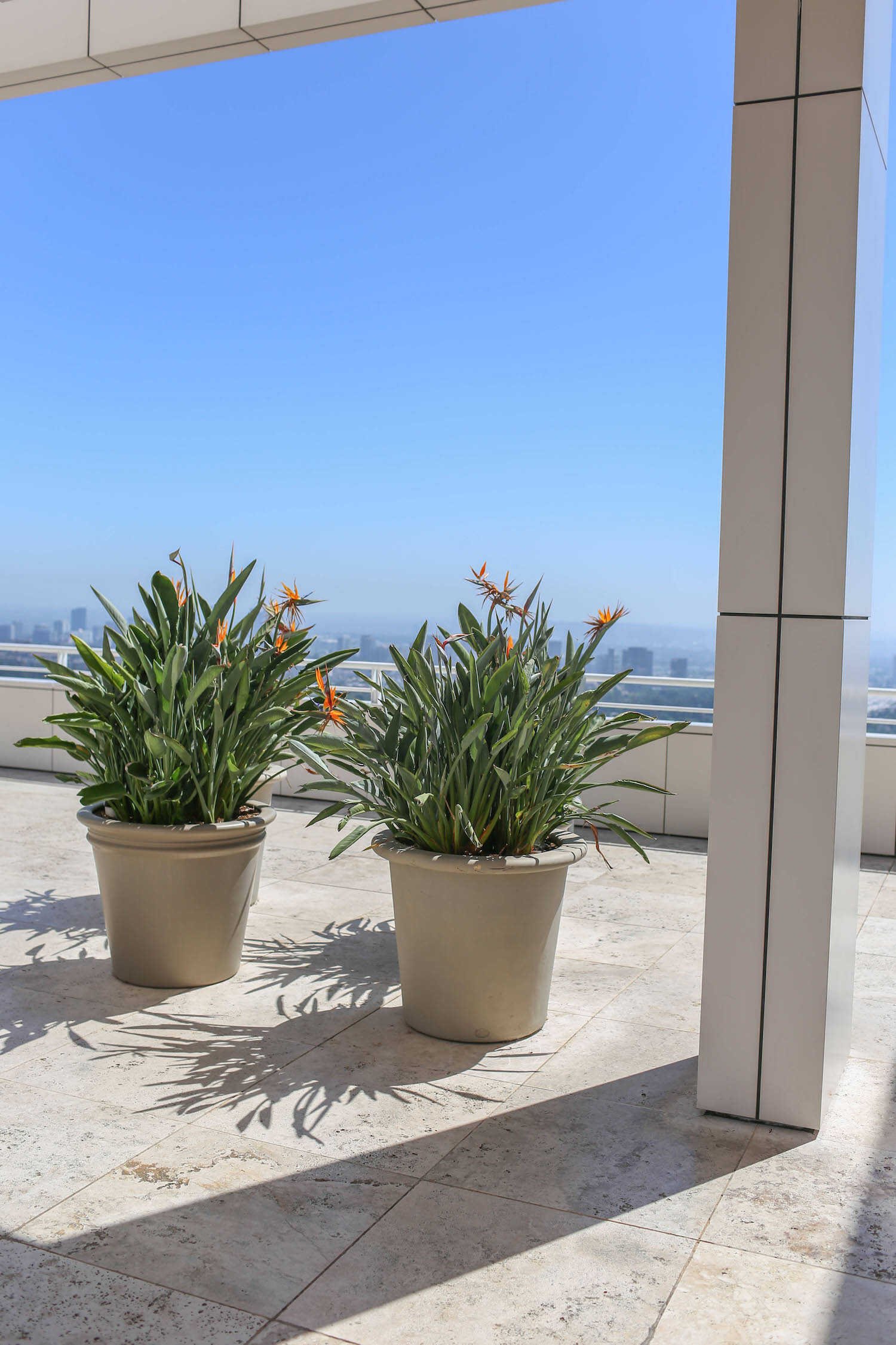 10 Reasons Why Museum Hack's Tour of the Getty Museum is Totally Worth ...