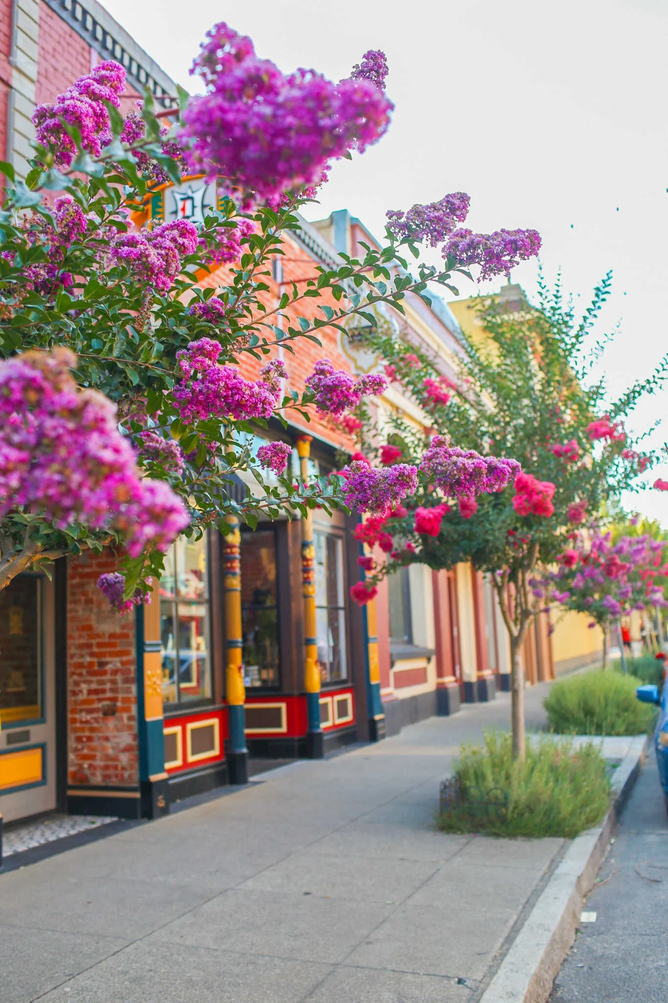 Travel Guide to Yolo County - Hidden Gems & Small Towns to Visit