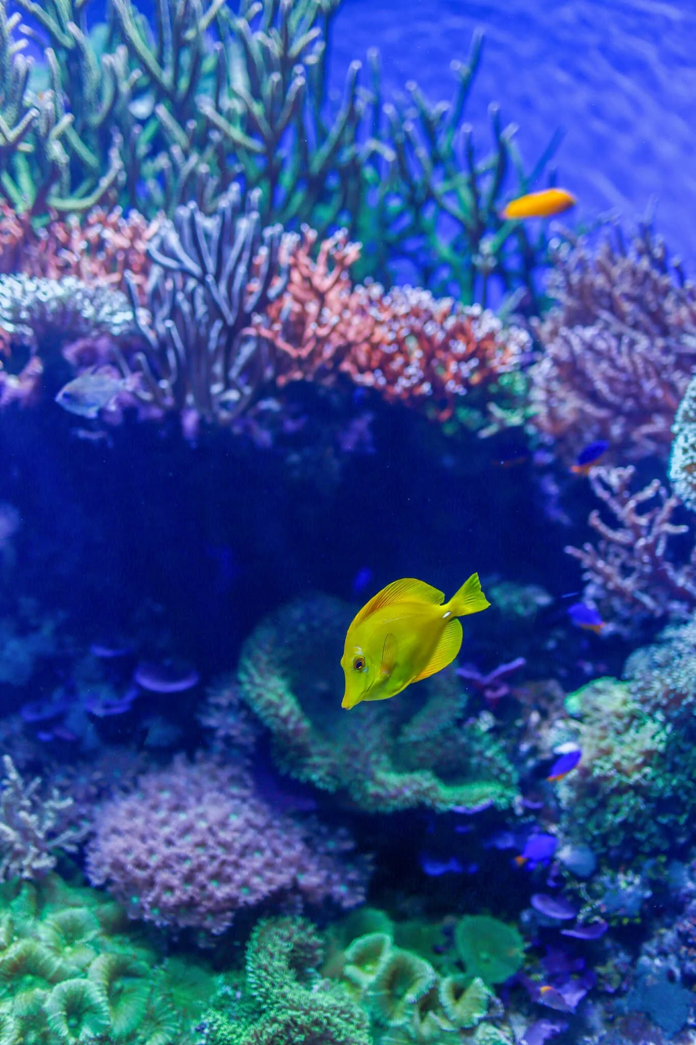 La Jolla Travel Guide - Best Family-Friendly Things to Do